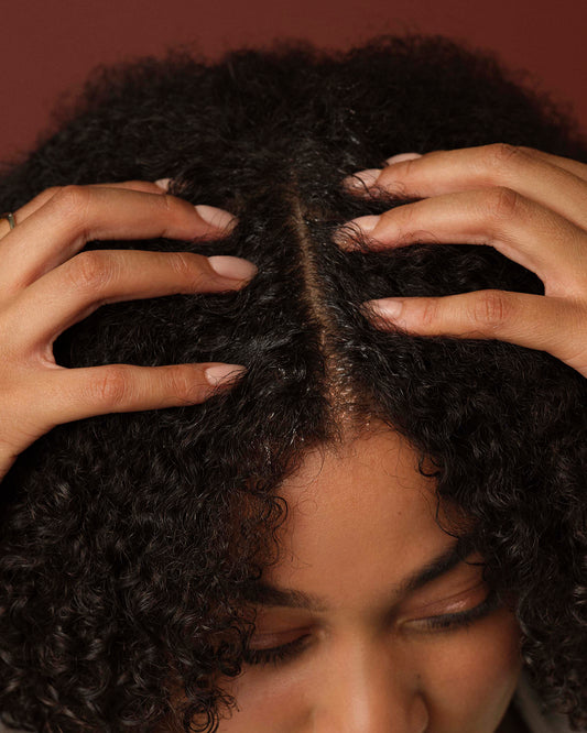 Microlocs 101: Your Guide to Starting & Styling | PATTERN – Pattern Beauty