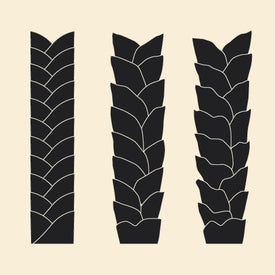 Curl Pattern Chart: Guide for Curly Hair Types | Pattern Beauty